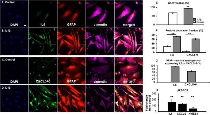 Transcriptome Analysis Reveals Neuroprotective aspects of Human ...
