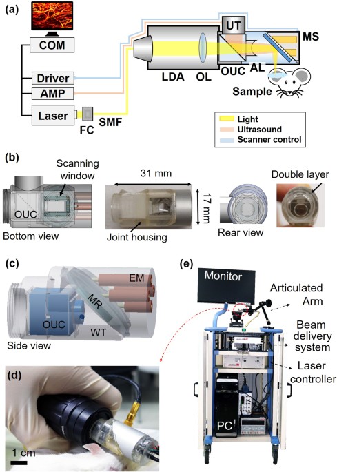 Handheld Photoacoustic Microscopy Probe | Scientific Reports