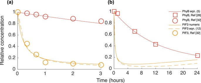 A quantitative model of the phytochrome-PIF light signalling initiating ...