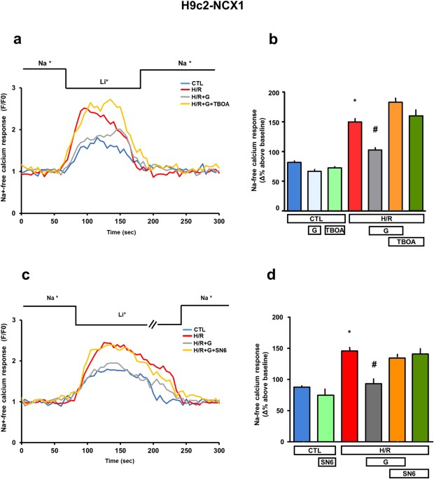 Essential role of the Na + -Ca2 + exchanger (NCX) in glutamate-enhanced ...