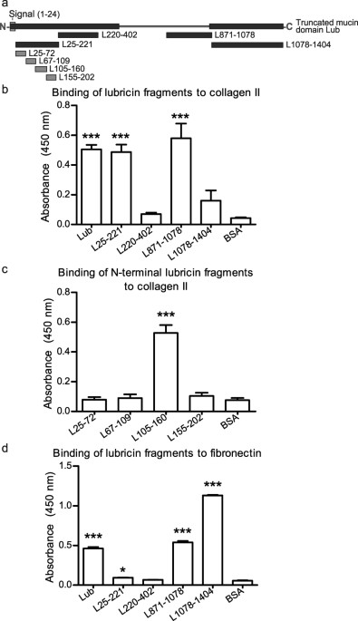 Lubricin binds cartilage proteins, cartilage oligomeric matrix protein ...