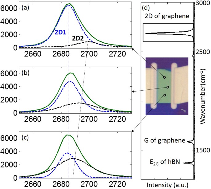 2D Raman band splitting in graphene: Charge screening and lifting of ...
