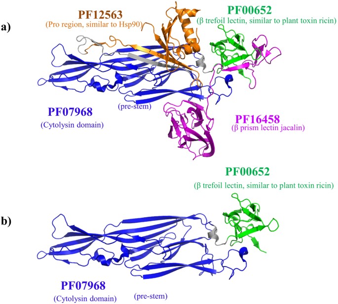 Functional classification of protein toxins as a basis for ...