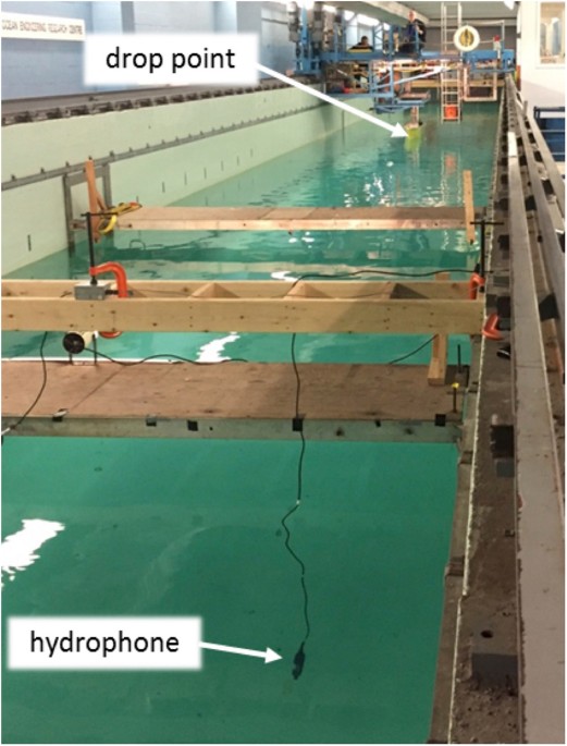 Rewinding the waves: tracking underwater signals to their source ...