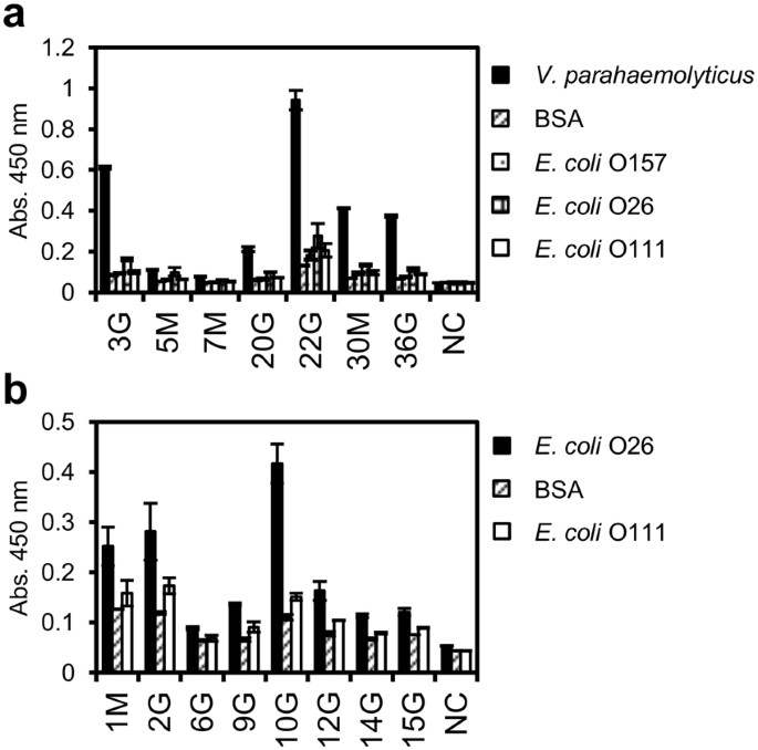Ecobody technology: rapid monoclonal antibody screening method from ...