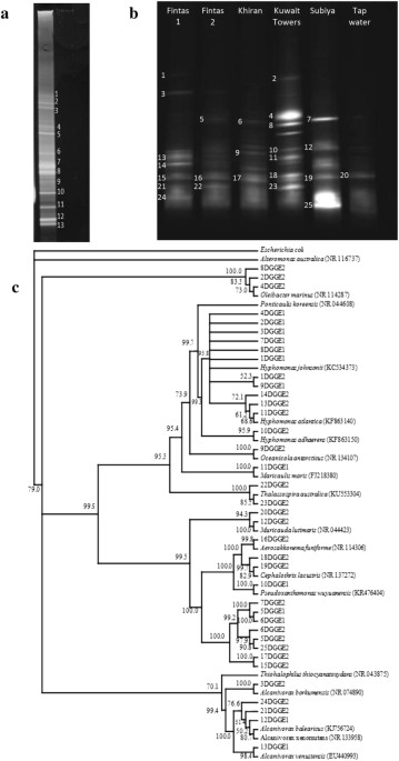 Gelatinizing oil in water and its removal via bacteria inhabiting the ...