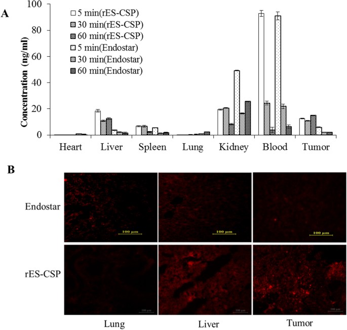 Antitumor activities of Liver-targeting peptide modified Recombinant ...