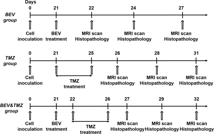 Aberrant glioblastoma neovascularization patterns and their correlation ...