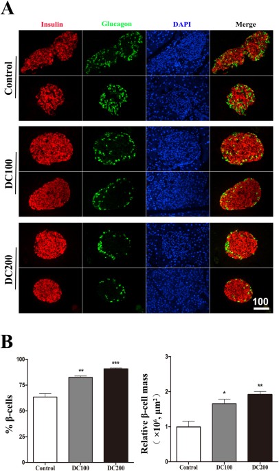 Low dose doxycycline decreases systemic inflammation and improves glycemic control, lipid ...