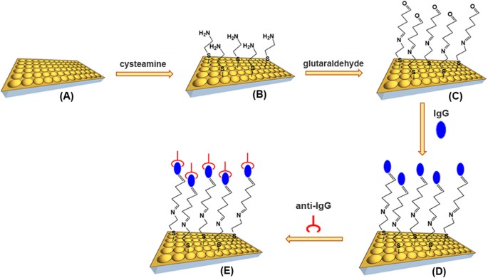 Flexible and Tunable 3D Gold Nanocups Platform as Plasmonic Biosensor ...