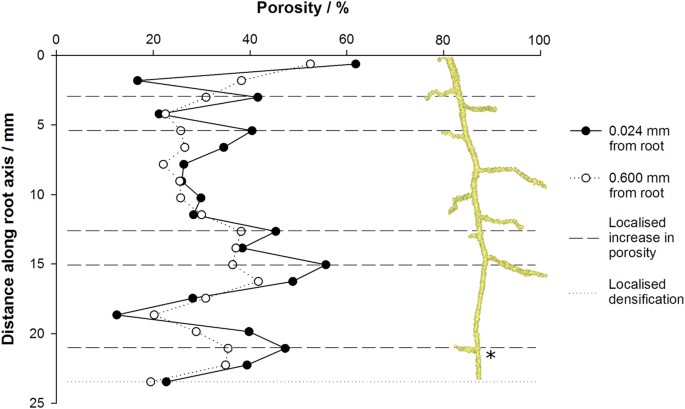 The emergent rhizosphere: imaging the development of the porous ...