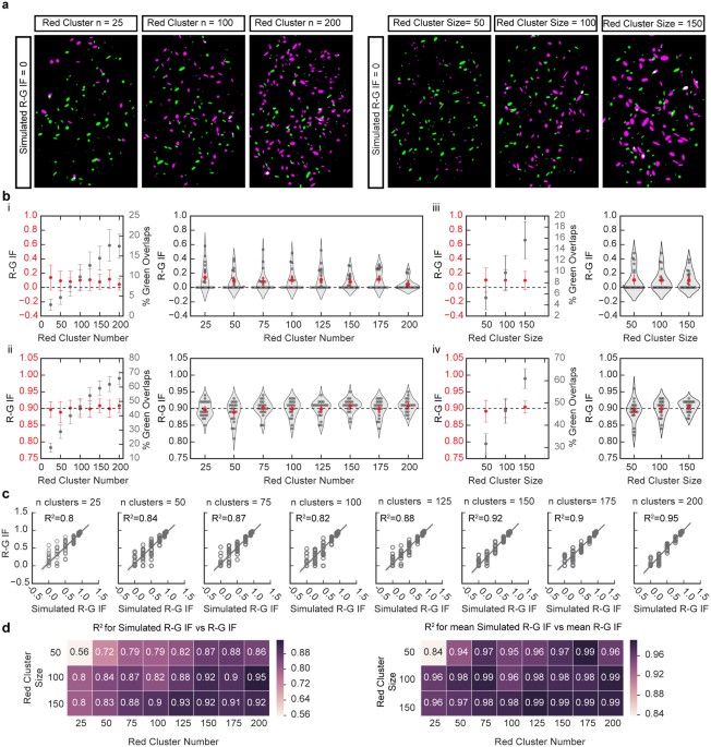 A Method for Quantifying Molecular Interactions Using Stochastic Modelling and Super-Resolution ...