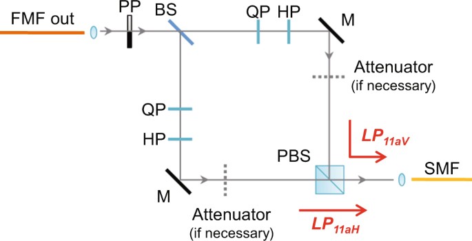 Distribution of entangled photon pairs over few-mode fibers ...