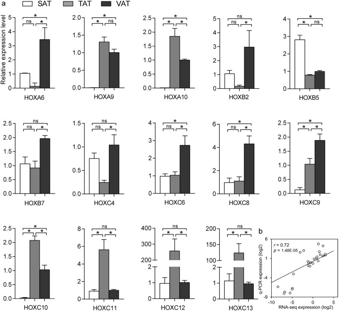 Comparative transcriptome analysis reveals potentially novel roles of ...