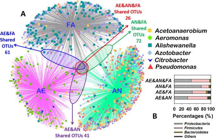 Microbial network of the carbonate precipitation process induced by ...