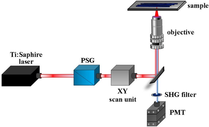A Study on Image Quality in Polarization-Resolved Second Harmonic Generation Microscopy ...