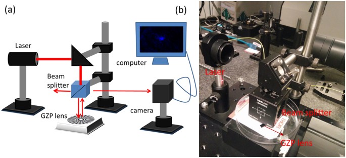 Carbon Nanotube Array Based Binary Gabor Zone Plate Lenses | Scientific ...