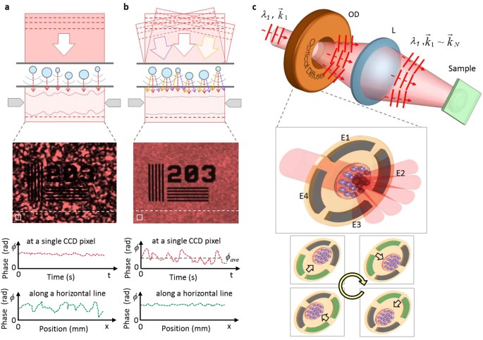 High-brightness laser imaging with tunable speckle reduction enabled by ...