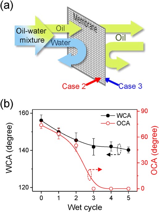 Rapid and selective surface functionalization of the membrane for high ...