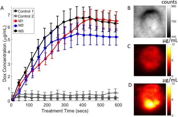 A dual-channel endoscope for quantitative imaging, monitoring, and ...