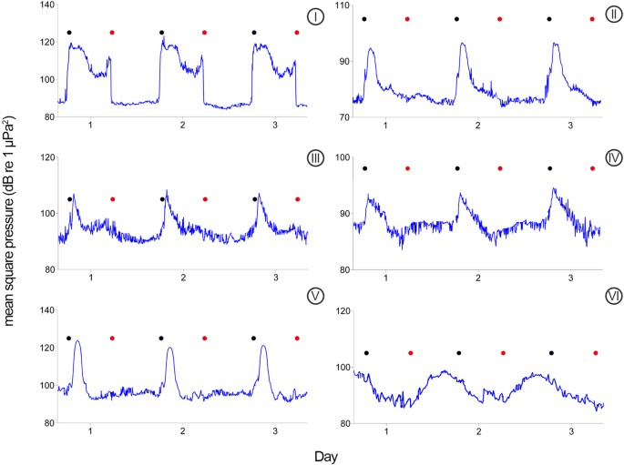 Patterns of biophonic periodicity on coral reefs in the Great Barrier ...