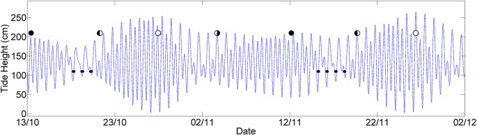 Patterns of biophonic periodicity on coral reefs in the Great Barrier ...