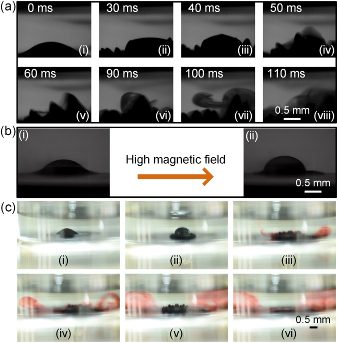 A novel magnet-actuated droplet manipulation platform using a floating ...