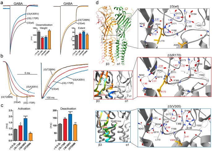 GABA A Receptor Coupling Junction and Pore GABRB3 Mutations are Linked ...