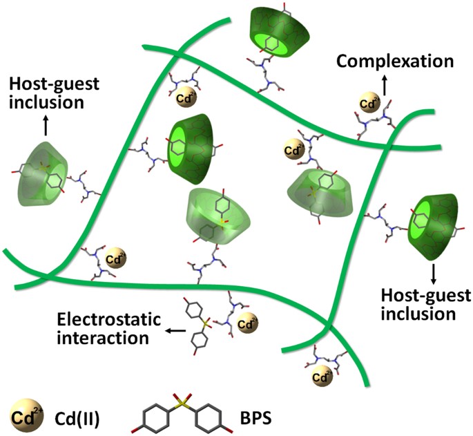 One-pot synthesis of trifunctional chitosan-EDTA-β-cyclodextrin polymer for simultaneous removal ...