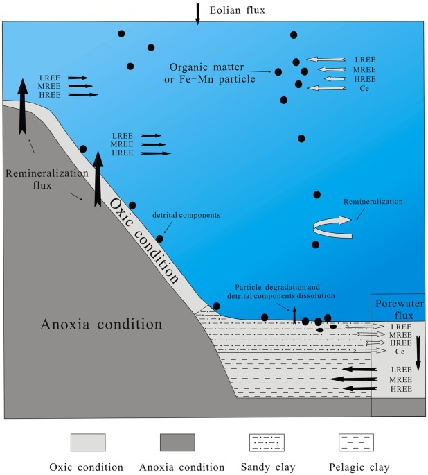 Rare earth element geochemistry characteristics of seawater and ...