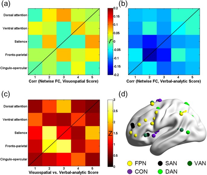 Distinct neural substrates of visuospatial and verbal-analytic ...