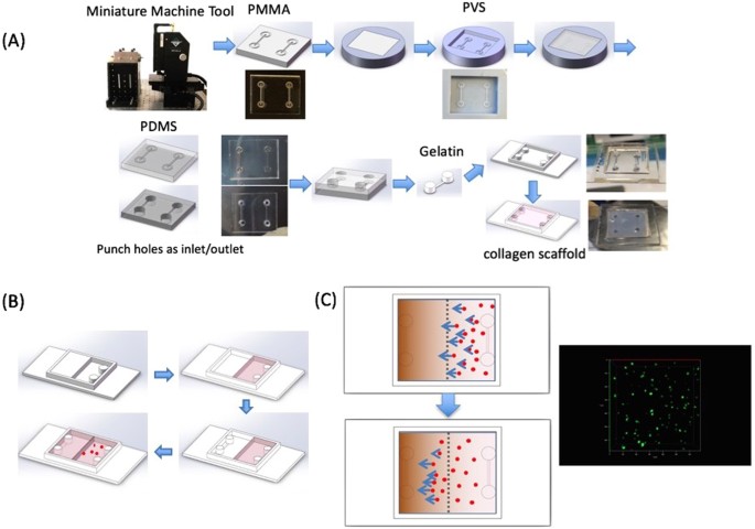 Mimicking Embedded Vasculature Structure for 3D Cancer on a Chip ...