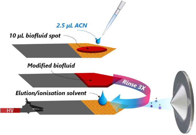 Quantitative analysis of biofluid spots by coated blade spray mass ...