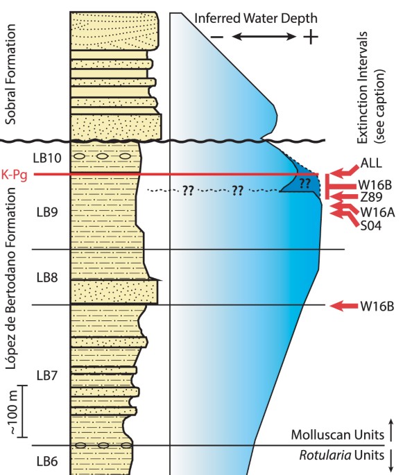 Recognition of a likely two phased extinction at the K-Pg boundary in ...