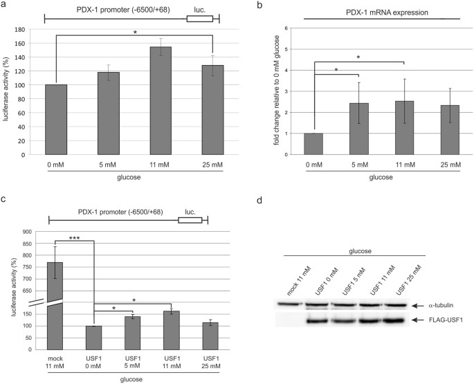 Functional interplay between the transcription factors USF1 and PDX-1 ...