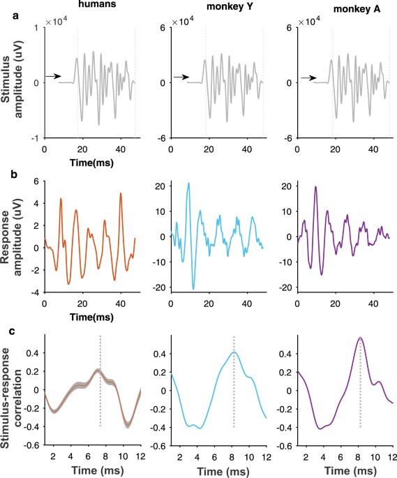 Monkeys share the neurophysiological basis for encoding sound ...