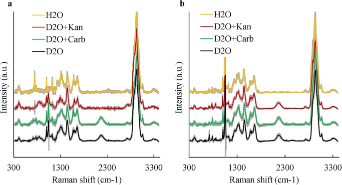 Raman-Deuterium Isotope Probing for in-situ identification of ...