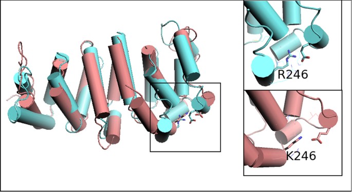 Mutational analysis of TSC1 and TSC2 genes in Tuberous Sclerosis ...
