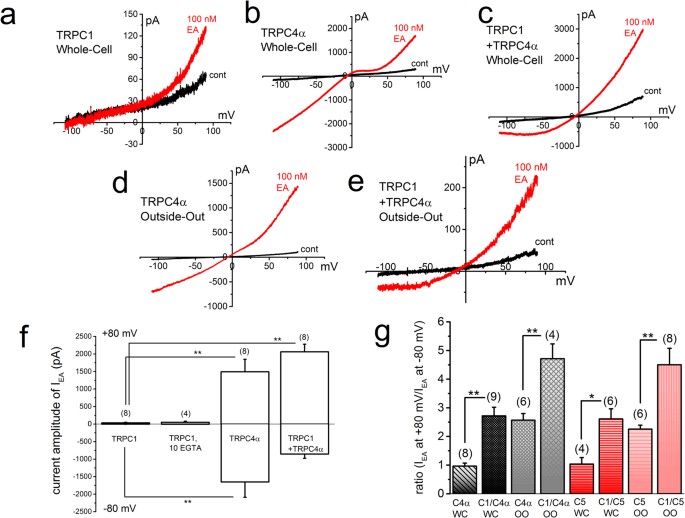 Na + entry through heteromeric TRPC4/C1 channels mediates (−)Englerin A ...