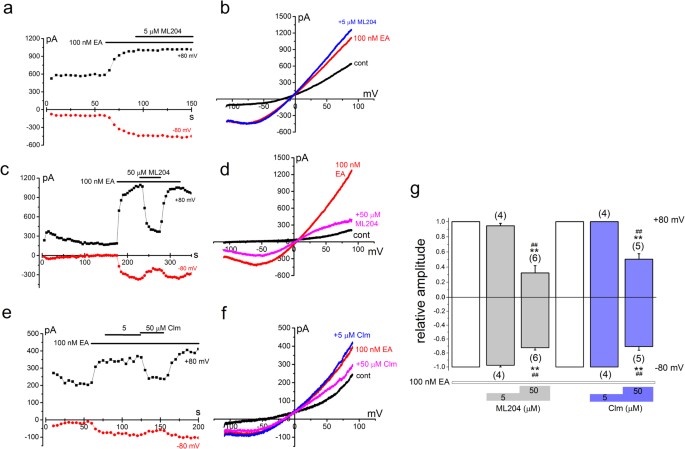 Na + entry through heteromeric TRPC4/C1 channels mediates (−)Englerin A ...