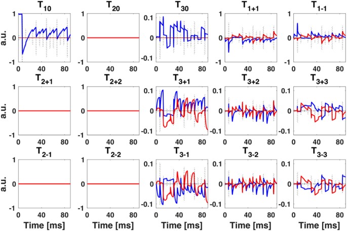 Multipulse sodium magnetic resonance imaging for multicompartment ...