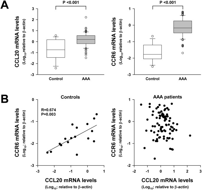 Circulating CCL20 as a New Biomarker of Abdominal Aortic Aneurysm ...