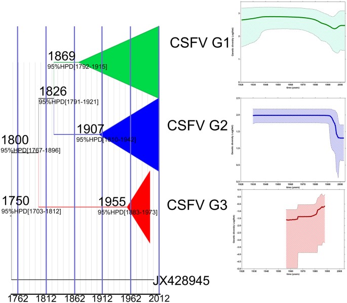 Deciphering the emergence, genetic diversity and evolution of classical ...