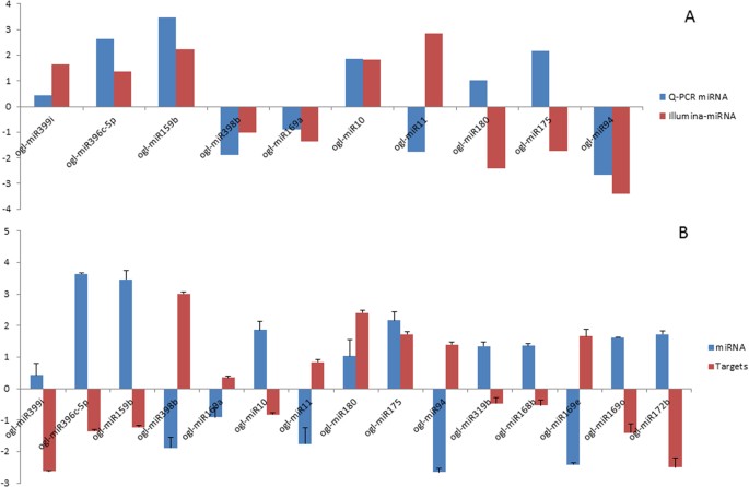 Discovery of microRNA-target modules of African rice ( Oryza glaberrima ...