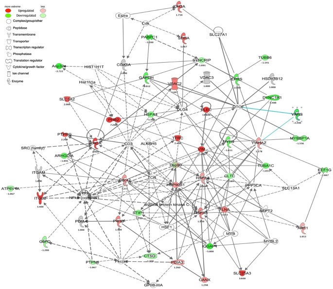 Inflammatory Proteomic Network Analysis of Statin-treated and ...