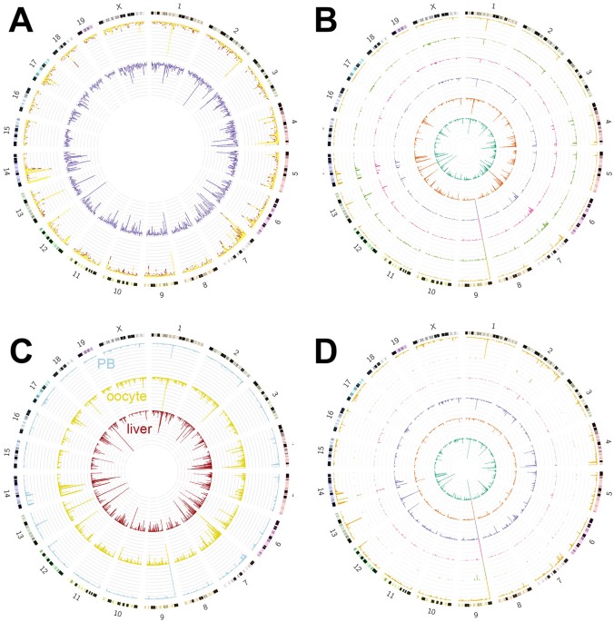 Integrated sequencing of exome and mRNA of large-sized single cells ...