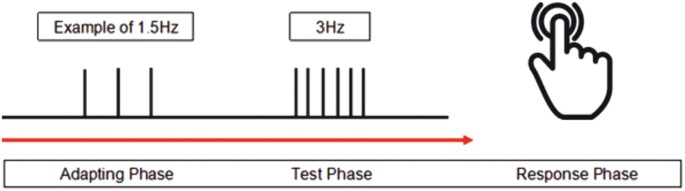 Rate after-effects fail to transfer cross-modally: Evidence for ...