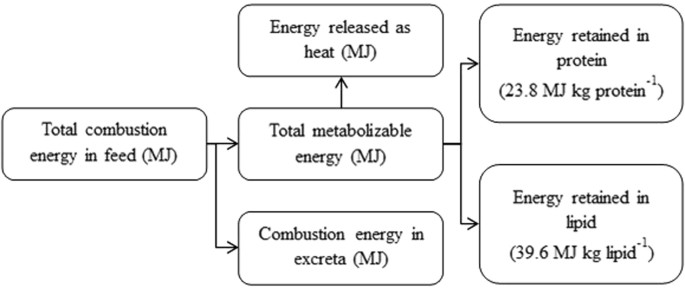 Artificial selection for improved energy efficiency is reaching its ...