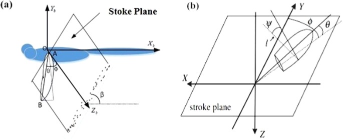 Experimental and Numerical Investigation on Dragonfly Wing and Body ...