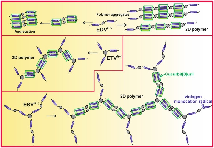 Reversible 2D Supramolecular Organic Frameworks encompassing Viologen ...